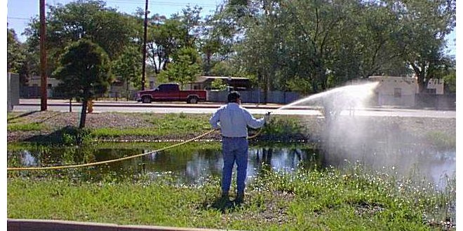 Regulatory Issues Maintaining Important Protections — Beyond Pesticides